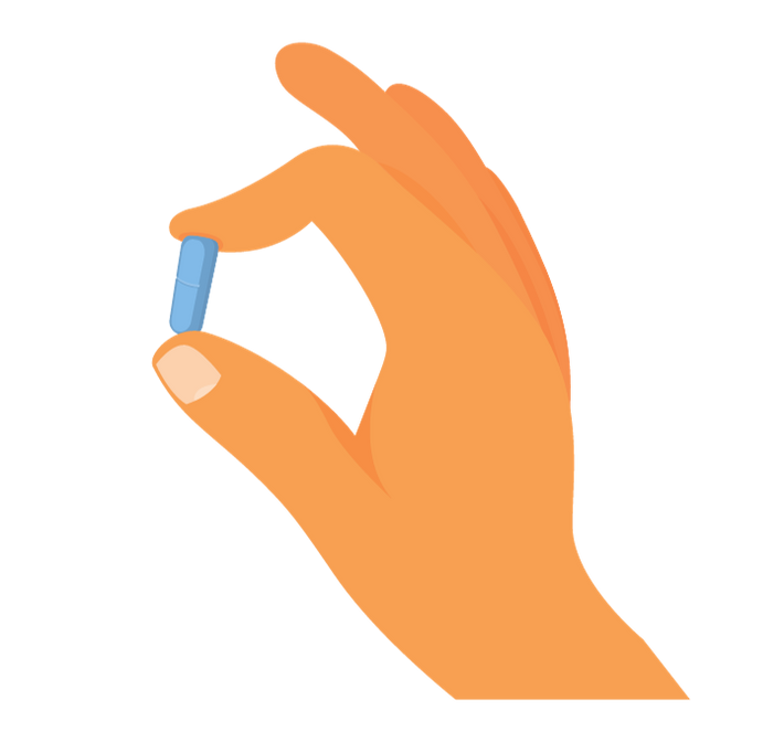 Padimal – Padimals